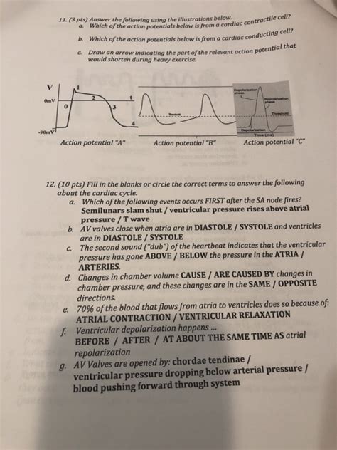 Solved 11 3 Pts Answer The Following Using The