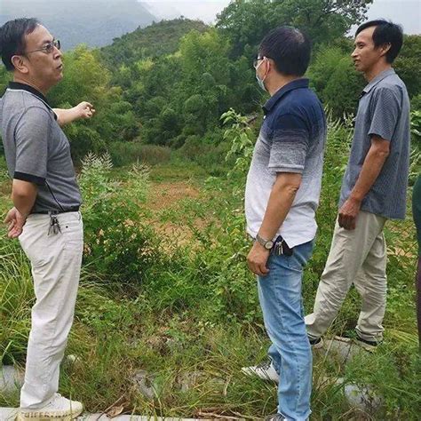 市农业农村局畜牧业工作专班赴铅山县调研指导抗旱保秋粮工作 畜禽 朱长荣 抗旱