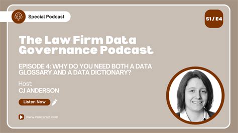 Why Do You Need Both A Data Glossary And A Data Dictionary Iron Carrot