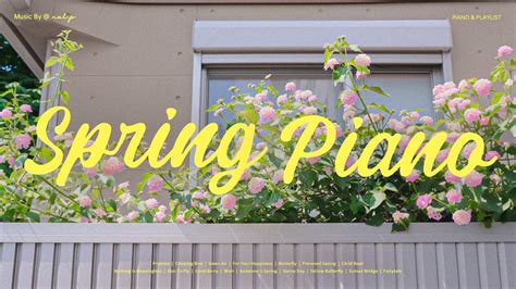 𝙋𝙡𝙖𝙮𝙡𝙞𝙨𝙩 화사한 봄을 만끽하기 좋은 따스한 피아노 플리 🌼🌸 매장에서 듣기좋은 가사없는 피아노 연주 🎹 카페 일 집중 업무 독서 Bgm Youtube