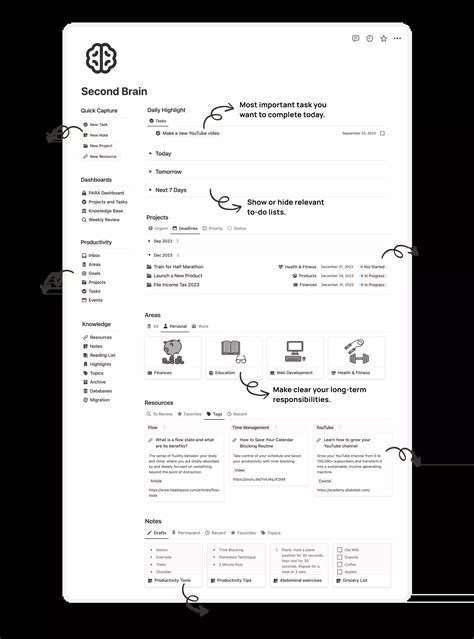 Free Notion Template The Color Library And Organizer Artofit