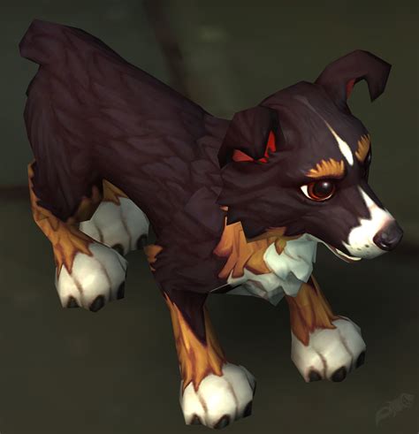 Drake NPC World Of Warcraft