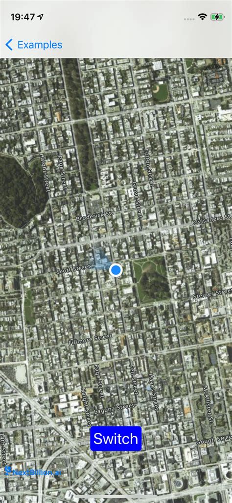 Nextbillionai Customize Navigationmapview Style At Runtime