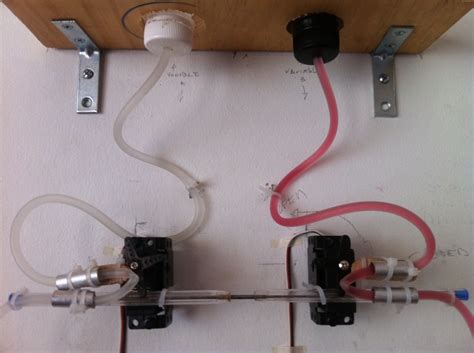 Antoinette J Citizen