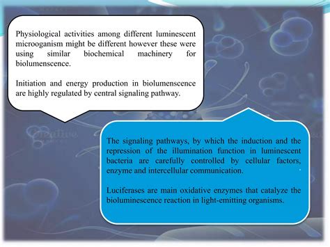 Molecular Biology Of Bioluminescence Myppt Pptx Biological Sciences Science