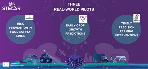 Stelar Enters New Phase Piloting Activities Kick Off For Project Building A Novel Data