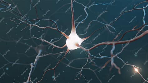 Premium Photo Neuron Signal Transfer From Low To High Activity 3d Rendered