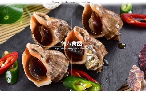 鲜海螺 海螺 大海螺 大山谷图库