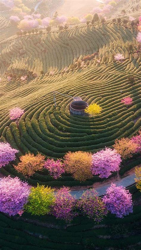 Bing HD Wallpaper February 03 2023 早春的气息 Bing Wallpaper Gallery
