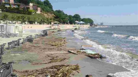 Ні риби ні мідій через підрив Каховської ГЕС морепродукти із Чорного моря досі небезпечно їсти