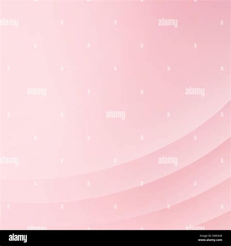 Abstract Pink Background With Curve Lines Smooth Pink Light Vector Illustration Copy Space