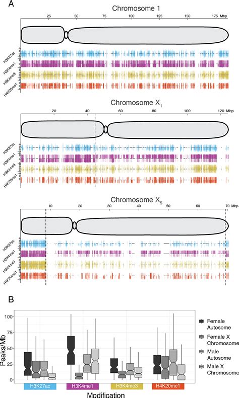Incomplete Transcriptional Dosage Compensation Of Chicken And Platypus Sex Chromosomes Is Incomplete Transcriptional Dosage Compensation Of Chicken And Platypus Sex Chromosomes Is