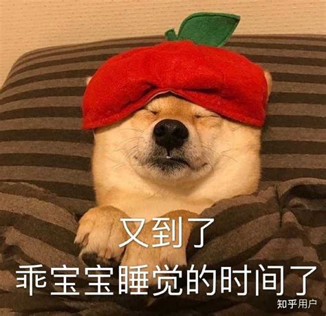 有没有这种关于睡觉的小表情包呀 知乎
