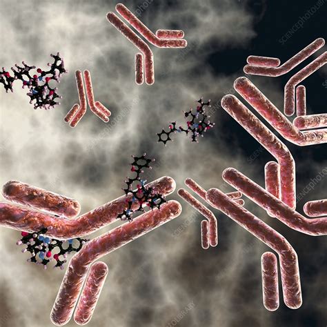 Antibody Drug Conjugates Illustration Stock Image C0404148