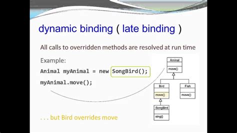 Java Basice Inheritance And Polymorphismm 2 Youtube