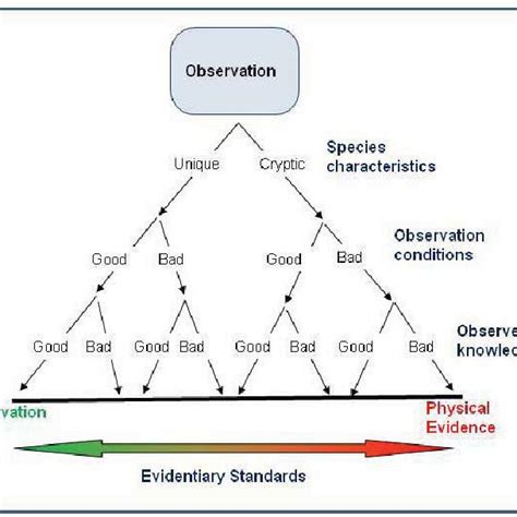 Scheme Of Evidentiary Standards For Occurrence Records Based On The Download Scientific Diagram