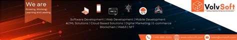 volvsoft linkedin