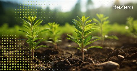 Afforestation Reforestation And Restoration On The Choice Of Species