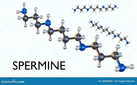 3d Rendering Of Isolated Spermine Molecule Chemical Structure Stock Illustration Illustration