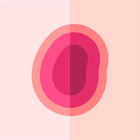 Скачать бесплатно иконки на тему «Плоскоклеточная карцинома иконка Basic Straight Flat в