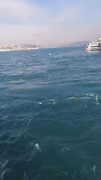 ბოსფორის სრუტე Youtube