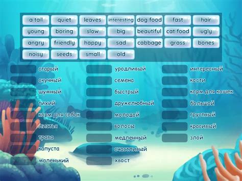 Form 5 U5 Al Match Up