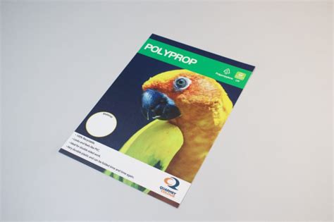 Polyprop Quarmby Colour