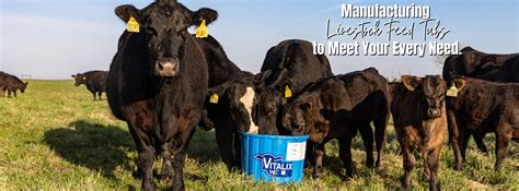 Lazy S Ranch Lazy S Ranch Added A New Photo