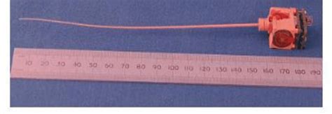 The Largest Utilized Whisker Sensor Download Scientific Diagram