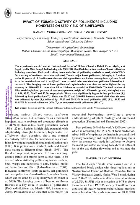 Pdf Impact Of Foraging Activity Of Pollinators Including Honeybees On Seed Yield Of Sunflower