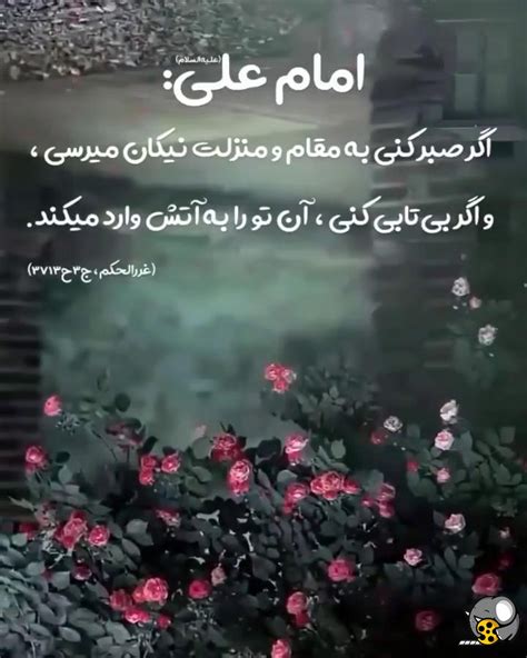 حدیث امام علی ع فیلو