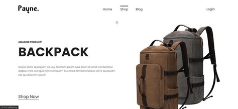 shibin ashiq on linkedin pythondeveloper python ecommercewebsite ecommerce django…