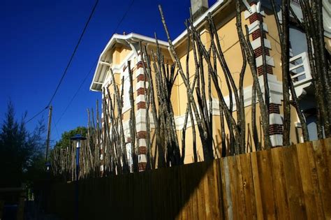 Premium Photo Tree Trunks In Font Of House