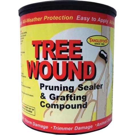 Tanglefoot Tree Wound Pruning Sealer And Grafting Compound A The Home Depot