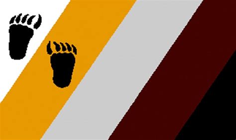 16 Sexuality Flags And Their Meanings Yourtango