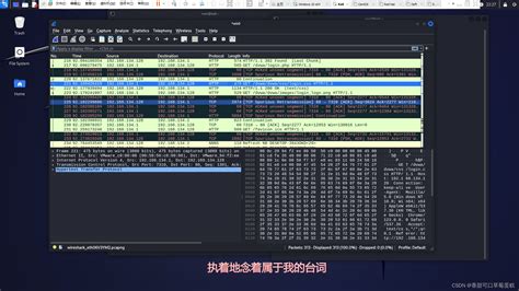 Arp 攻击神器：arp断网欺骗攻击利用工具arp Spoof 保姆级教程arpspoof攻击整个局域网 Csdn博客
