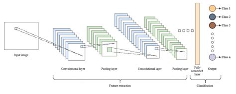 Cnn Basic Architecture For Classification And Segmentation Analytics Yogi