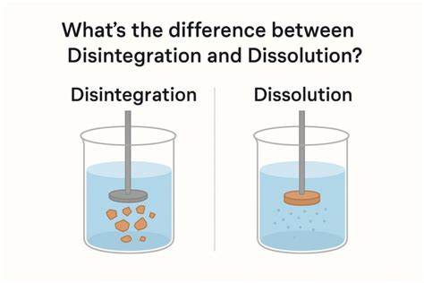 Disintegration Vs Dissolution Key Differences In Pharmaceutical Testing For Drug Development