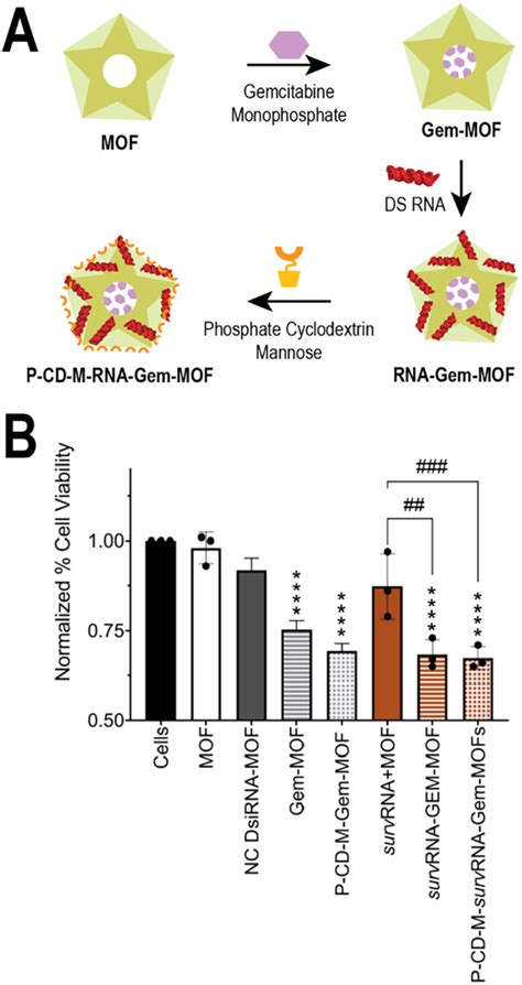 Toxicity Of Gem Mp And Ds Rna Nanomofs A Schematic Illustrating The Download Scientific