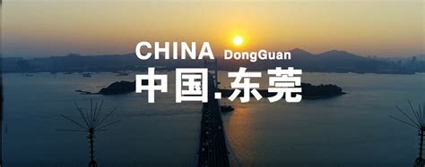 泛塞密封圈 唇形密封圈 橡胶密封圈厂家 广东东晟密封圈
