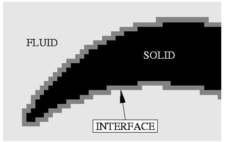 Immersed Boundary Tagging Download Scientific Diagram