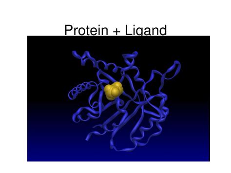 ppt protein functional site prediction powerpoint presentation free