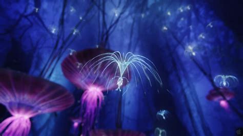 Avatar Tree Wallpapers Top Những Hình Ảnh Đẹp