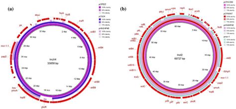 Sequence Alignment And Circular Comparison Of Mcr 1 Plasmids Panel Download Scientific Diagram