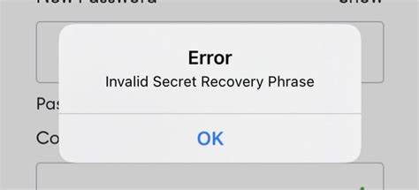 I Cannot Log Into My Metamask Account Using My Seed Phrase The App