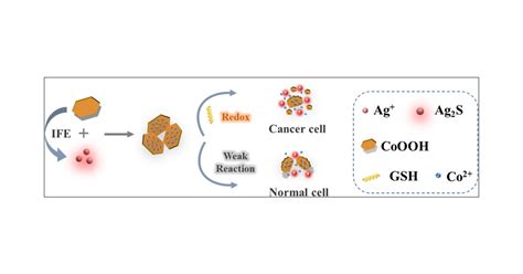 Detection And Bioimaging Of Glutathione In Cells Via A Turn On Near Infrared Fluorescent
