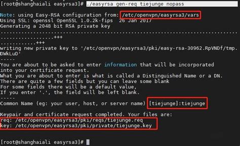 巧用openVPN实现访问云资源池业务 知乎