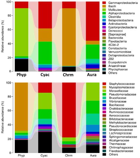 Comparative Analysis Of The Composition Of The Bacterial Communities In Download Scientific