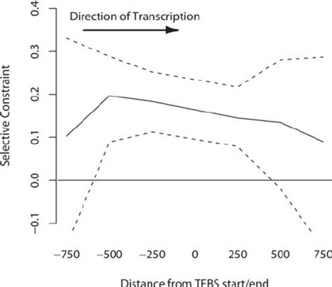 Selective Constraint Of Flanking Sequence Located Between Two Annotated