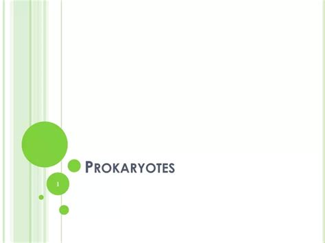 Ppt Exploring Prokaryotes Kingdoms Archaebacteria And Eubacteria Powerpoint Presentation Id